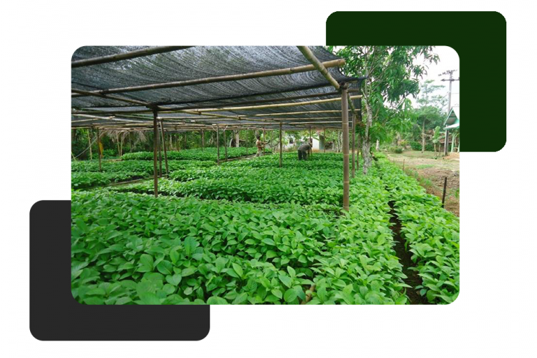 about – PT. Pundi Uniwood Industry